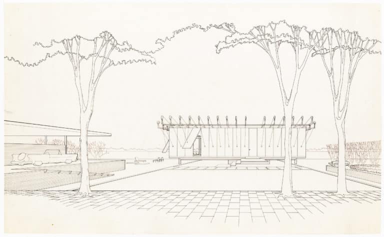 A Life of Their Own (1985) – Drawing Matter