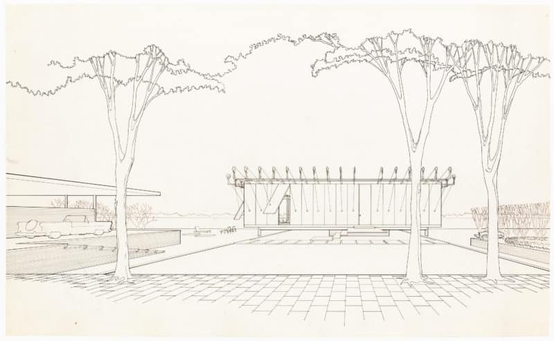 A Life of Their Own (1985) – Drawing Matter