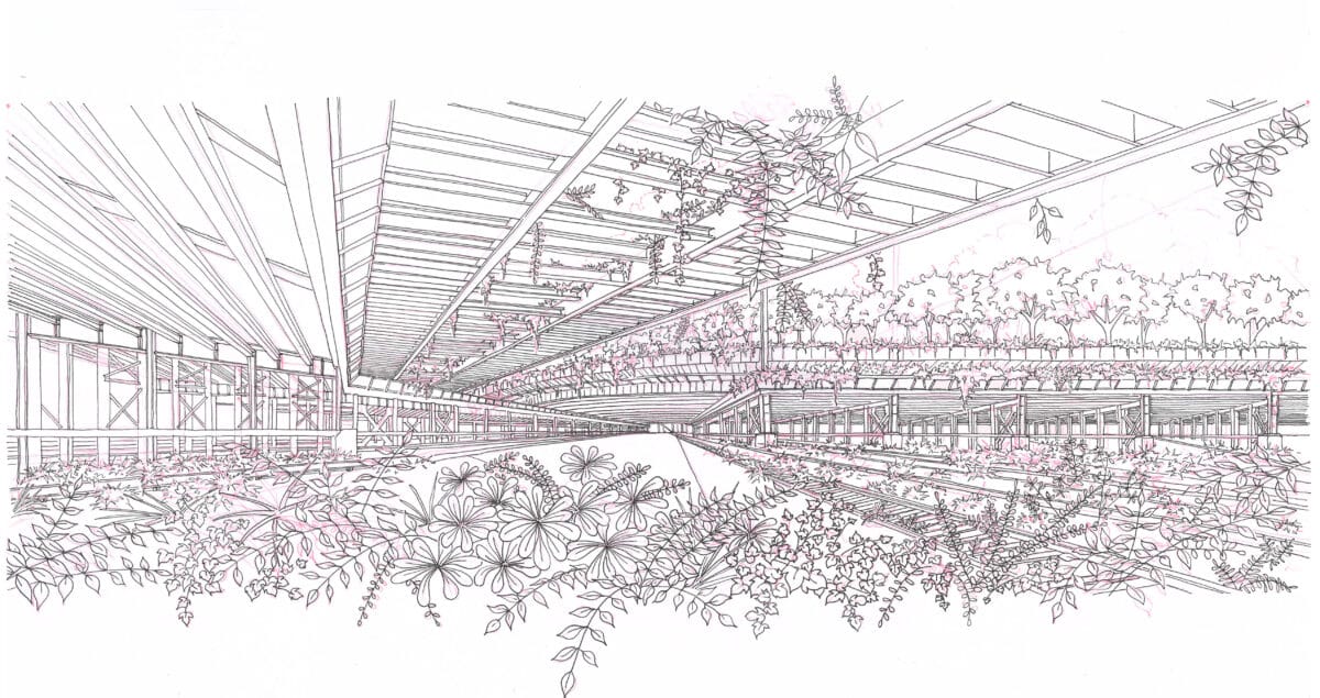 The Over Under: Drawing as process – Drawing Matter