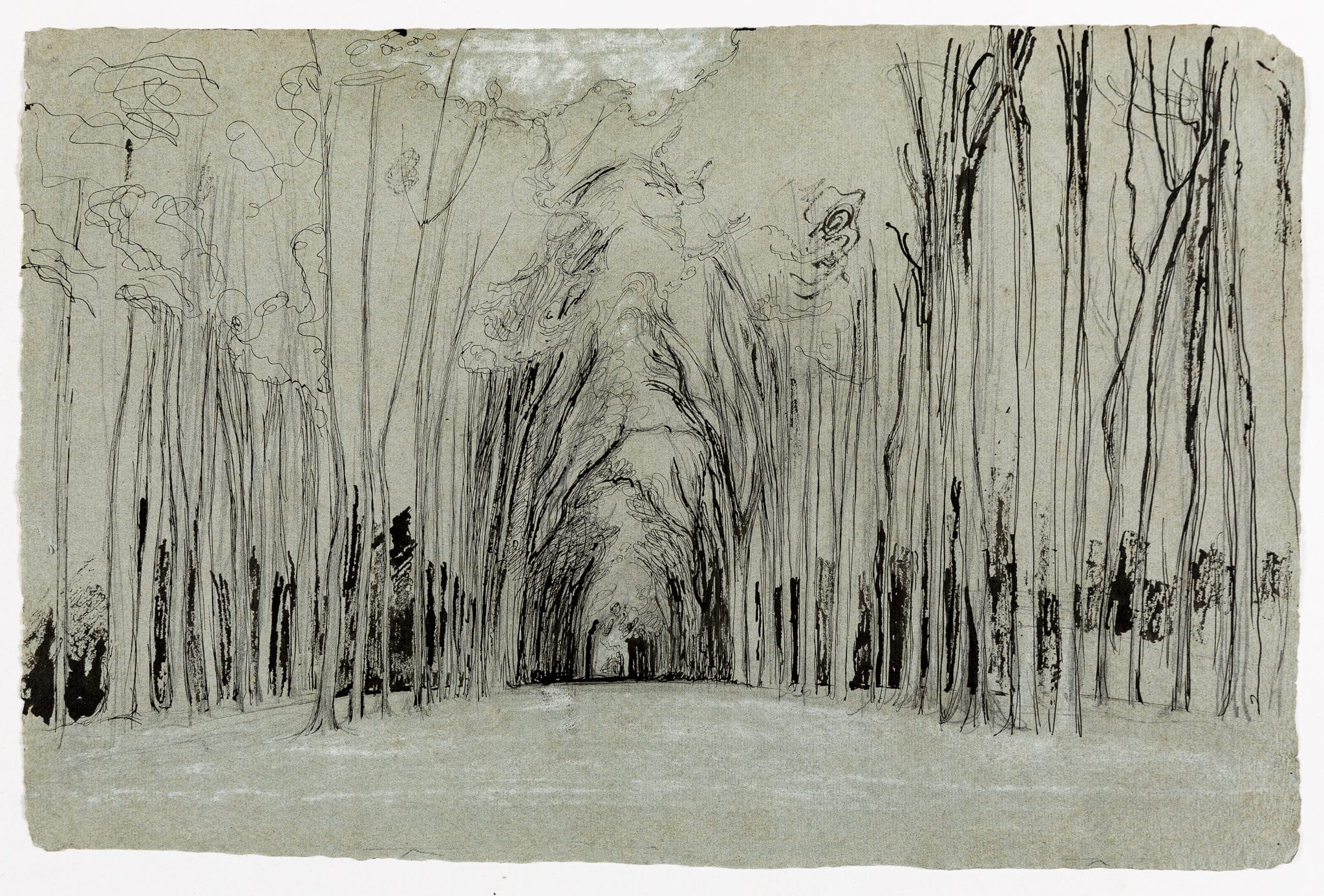 Arboretum: Trees as Architecture – Drawing Matter