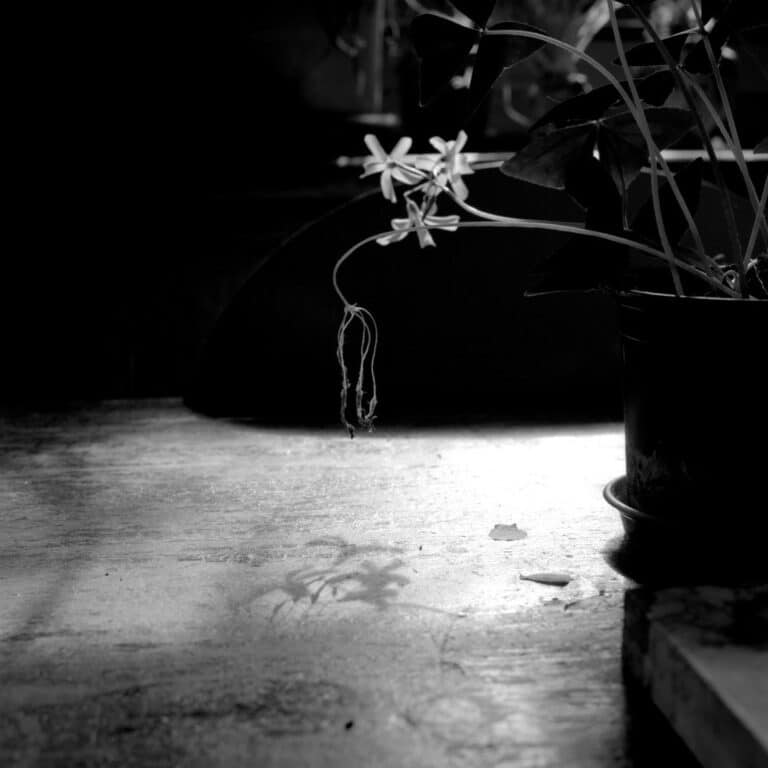 Hélène Binet: The Outsider – Drawing Matter