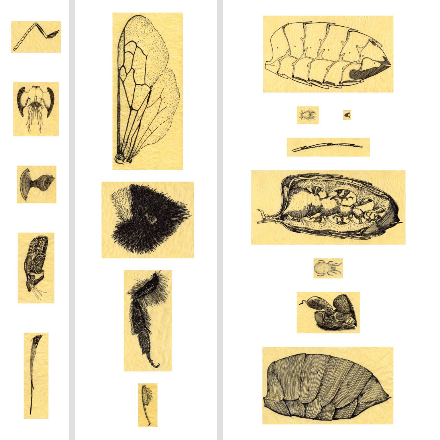 How Big is Big – Does Scale Matter? A Reflection on Scale in ...