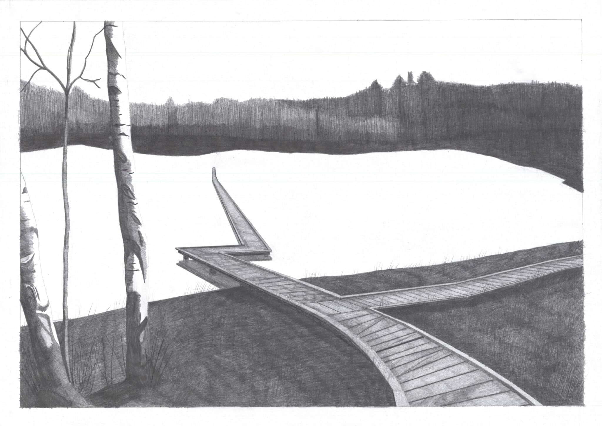 Useless Terrain: The Ballynagrenia and Ballinderry Bog – Drawing Matter