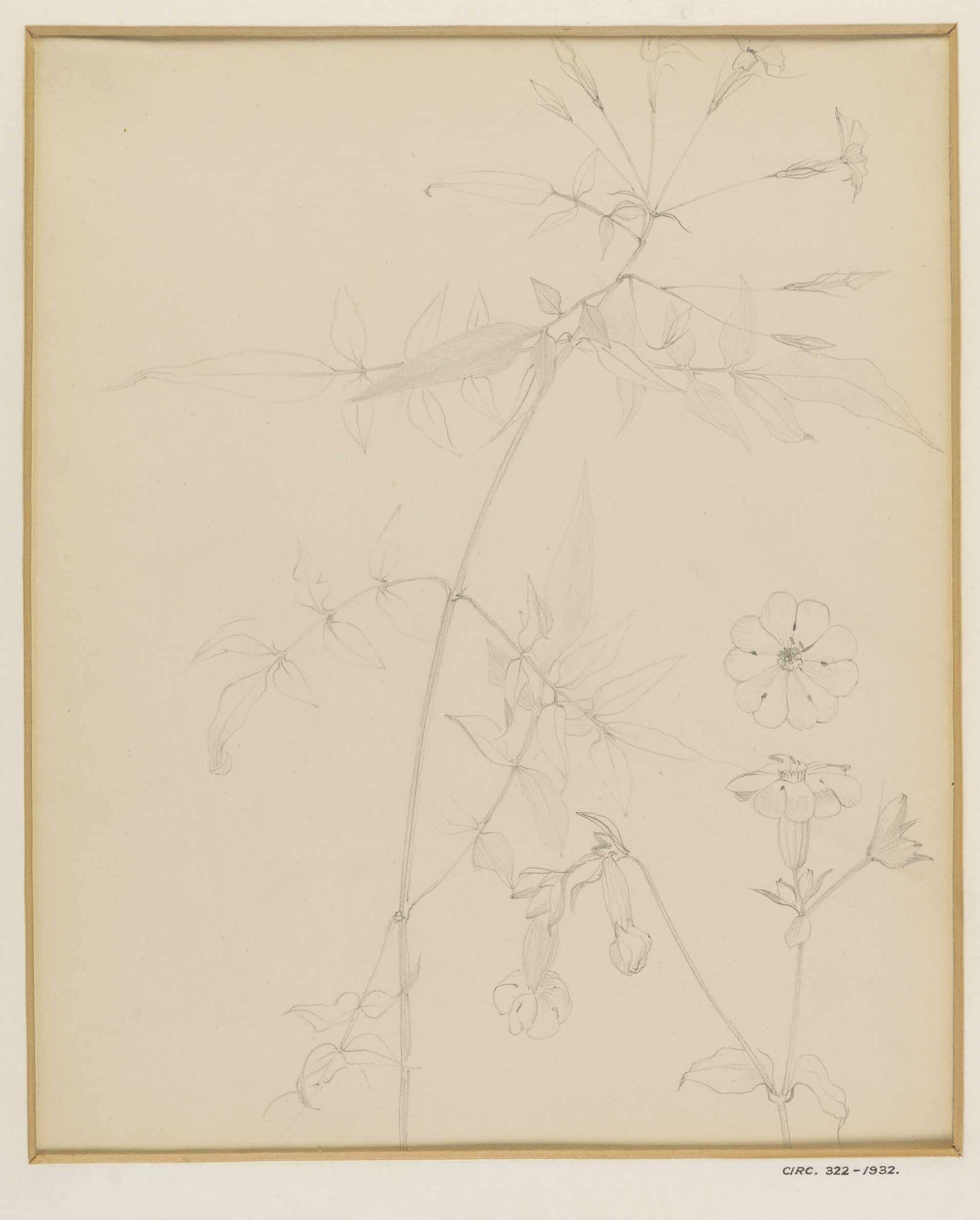 W. R. Lethaby: Apprenticeship and Education – Drawing Matter