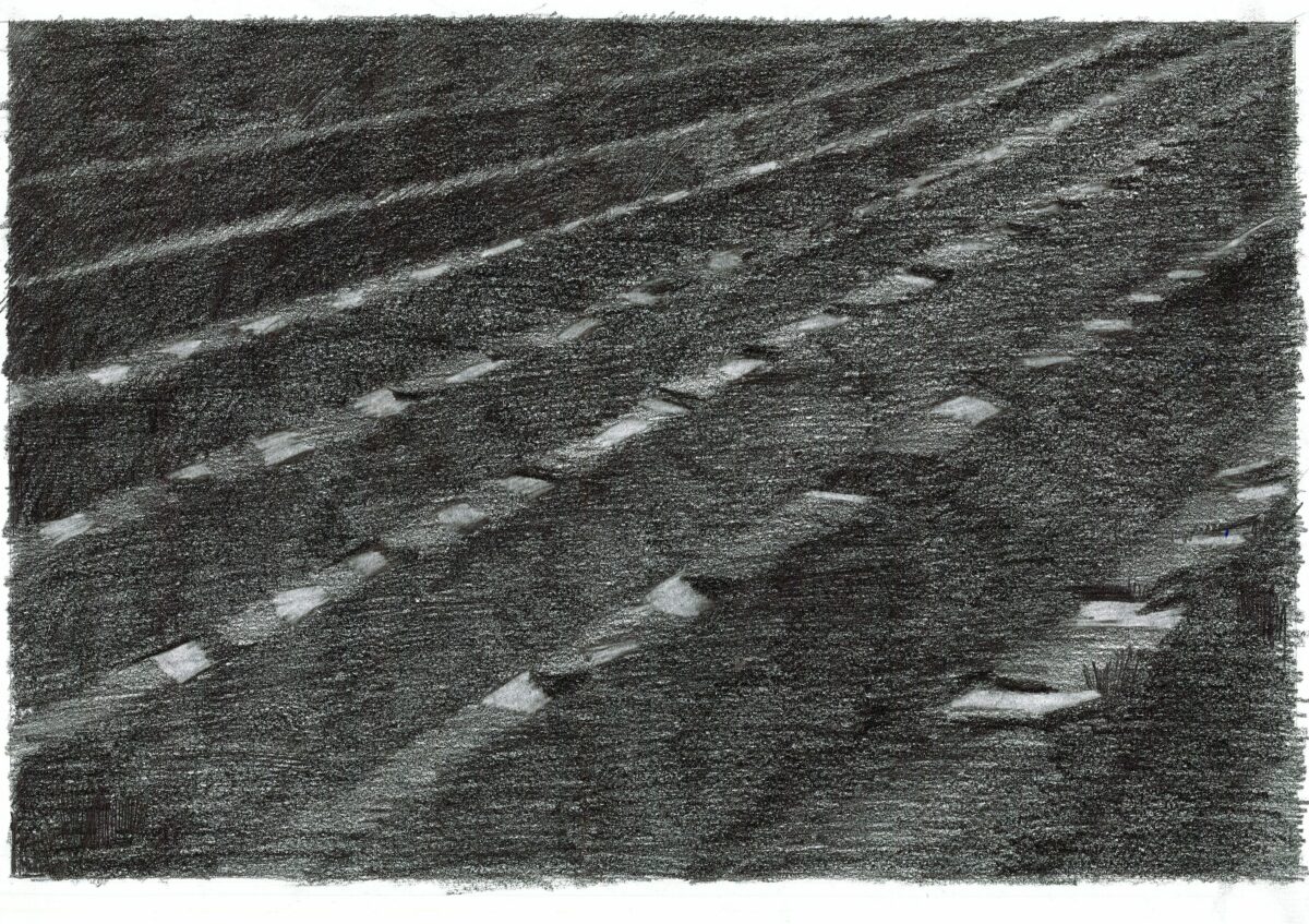 Useless Terrain: The Ballynagrenia and Ballinderry Bog – Drawing Matter