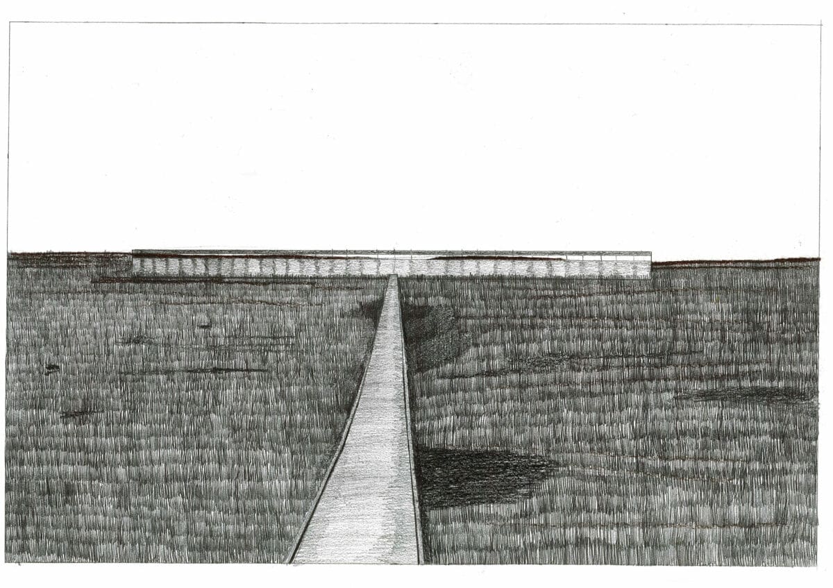 Useless Terrain: The Ballynagrenia and Ballinderry Bog – Drawing Matter