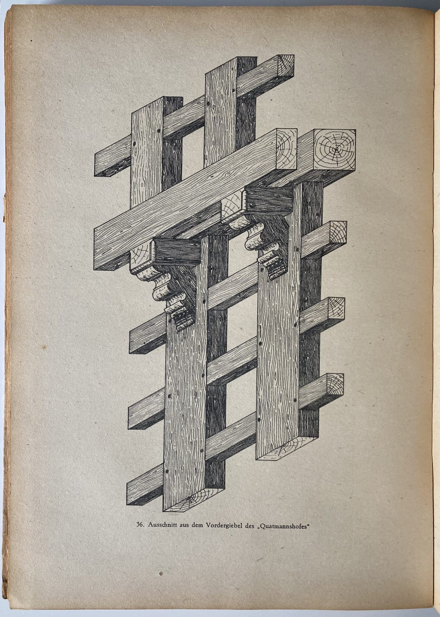 Materia 5: Timber – Drawing Matter