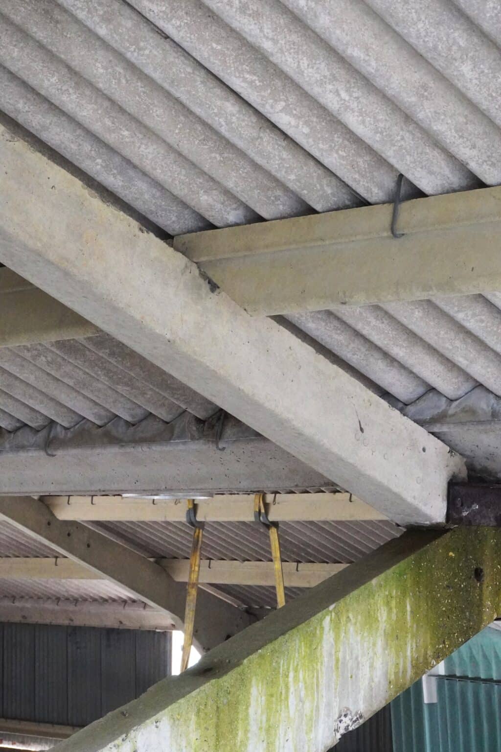 Shatwell Farm: Sheds and Silos – Drawing Matter