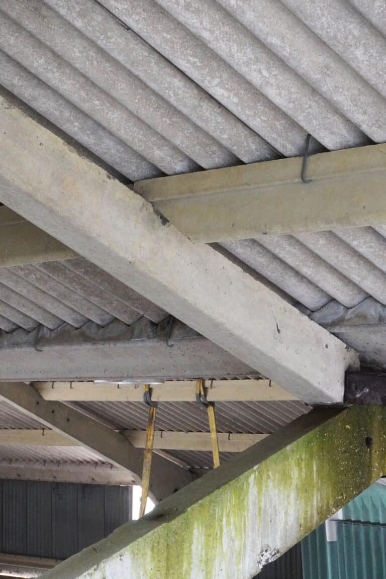 Shatwell Farm: Sheds and Silos – Drawing Matter