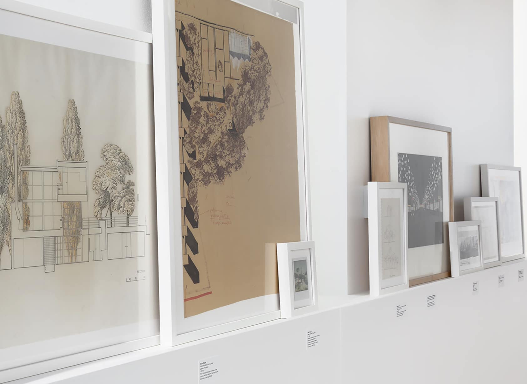 Architecture Arboretum – Drawing Matter