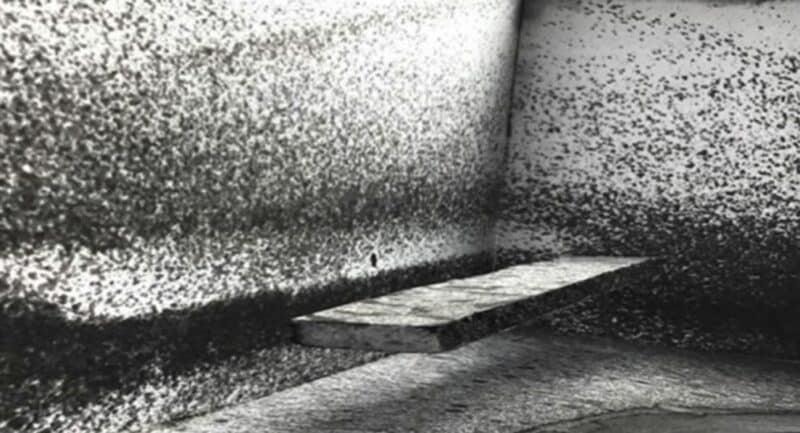 Vor-textu(r)al Translations from Building to Drawing – Drawing Matter